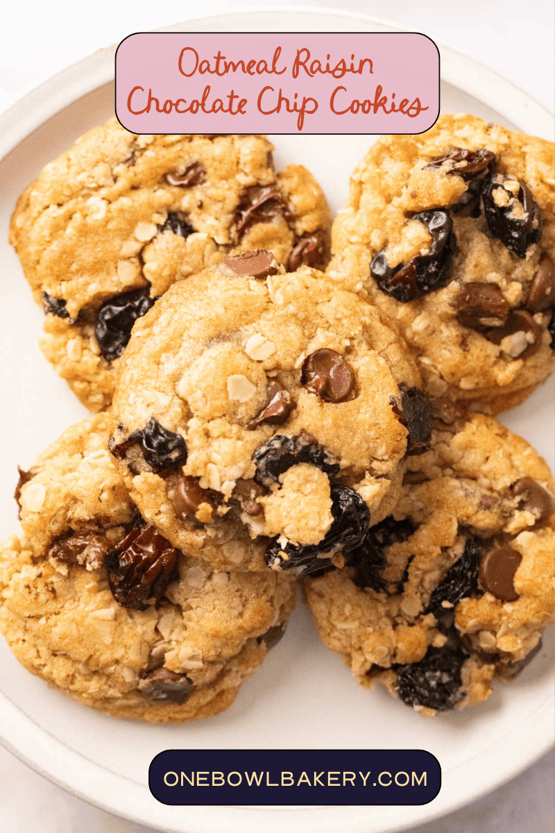 The Best Oatmeal Raisin Chocolate Chip Cookies - One Bowl Bakery