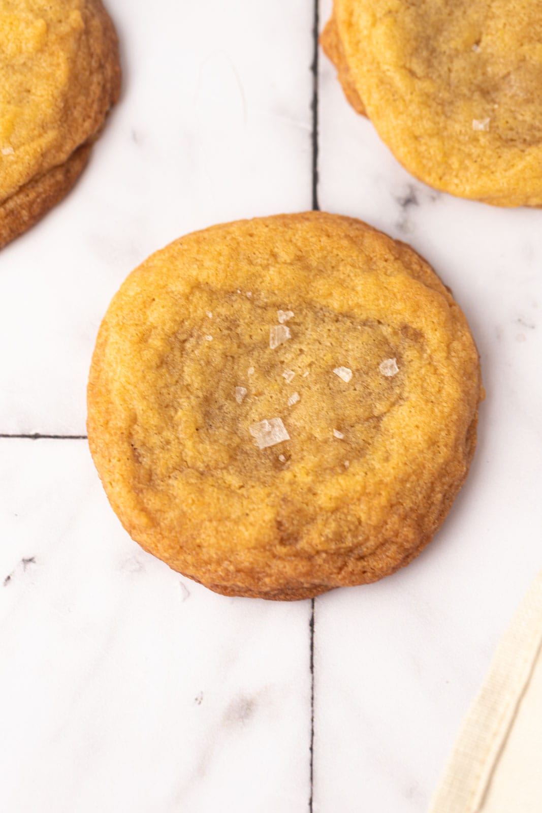 Boneless Chocolate Chip Cookies (Chipless Cookie) - One Bowl Bakery